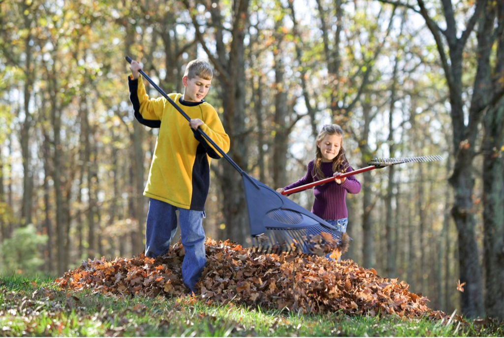 5 Fall Activities To Do as a Family | Youthland Academy